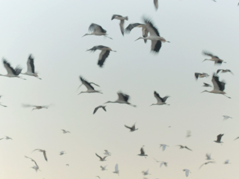 Programme complet 2024 – Aflam